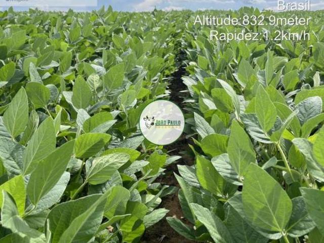 Fazenda a venda em Goiás Sítio d’Abadia GO 198,42 HA Planta LAVOURA