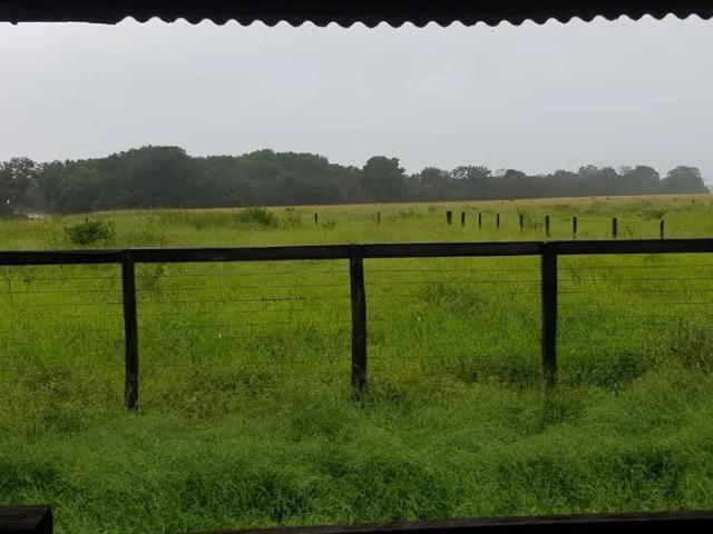 Fazenda a venda em Goiatins TO