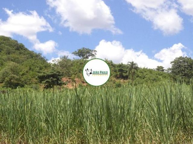 Fazenda a venda em Dom Bosco MG 88 hectares Pastagem formada Ótima de água