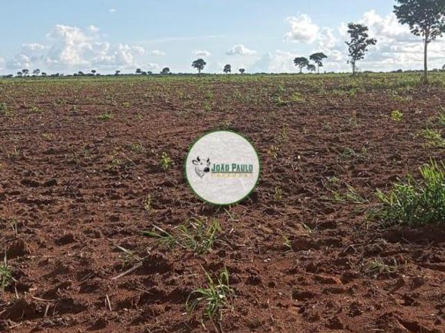 Fazenda a venda em em Aruanã GO 484 HA Relevo plano Terra vermelha