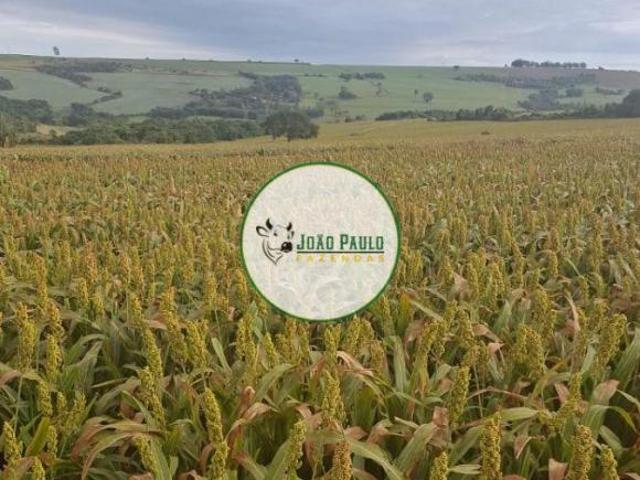 Fazenda a venda em ENTRE RIFAINA/SP E SACRAMENTO/MG 77 Hectares Ótimo para café