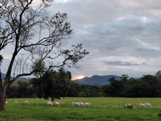 FAZENDA A VENDA EM ELDORADO