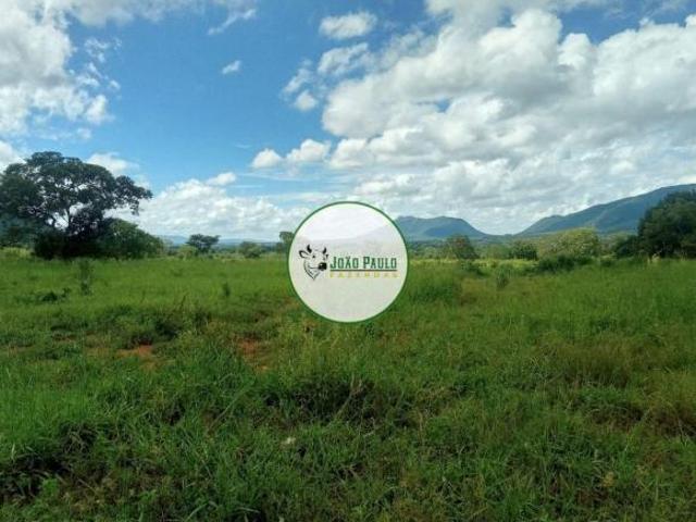 Fazenda a venda em Formosa GO 484 Hectares Dupla aptidão Formada em pasto com várias divisões