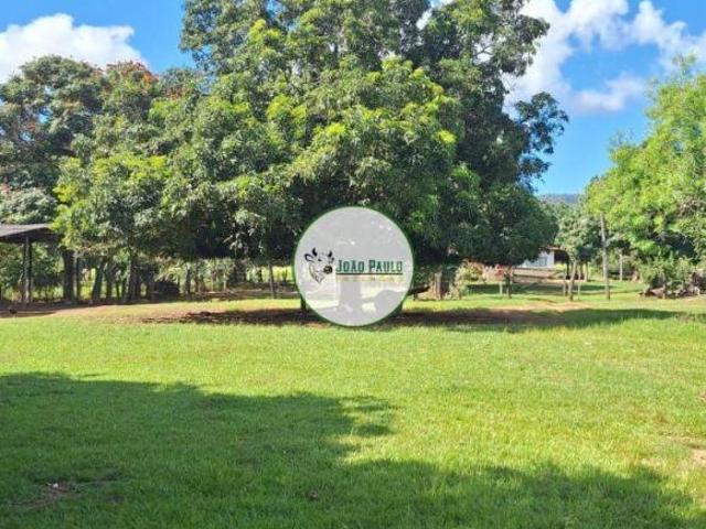 Fazenda a venda em Formosa GO 130 Hectares Dupla aptidão Podendo plantar 80 hectares