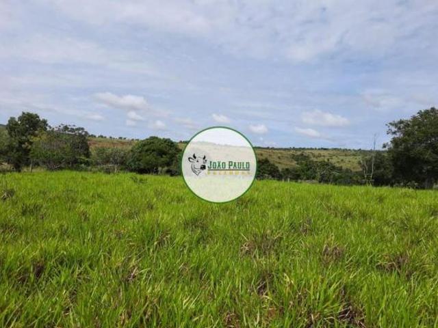 Fazenda a venda em Formosa GO 140 Hectares 70% formada em pastagem