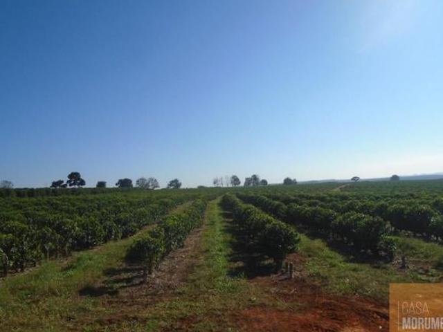 Fazenda à venda em Fortuna de Minas MG: 1 quarto e 1.330,00 hectares de área