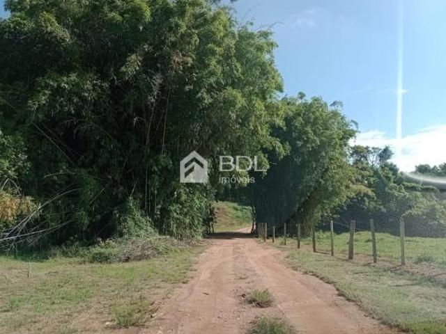 fazenda à venda em Fazenda da Grama