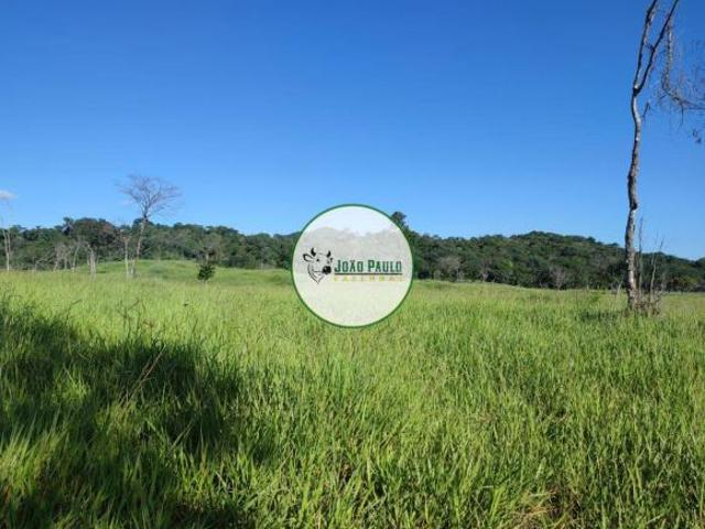 Fazenda a venda em Fazenda Nova GO 232 hectares Terra de cultura