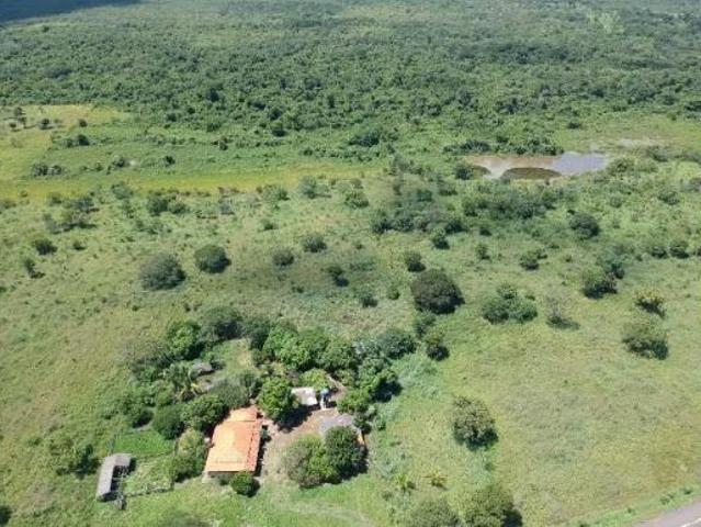 Fazenda à Venda em Flores de Goiás – GO | 147 Hectares | Excelente Localização 61 9 9598 5200