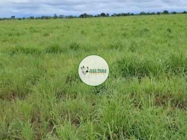 Fazenda a venda em Flores GO 968 Hectares DUPLA APTIDÃO | TODA FORMADA | BEIRA RIO