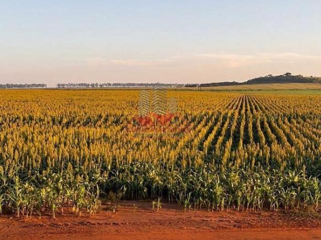 Fazenda à Venda em Frutal MG | 462 Alqueires e Renda