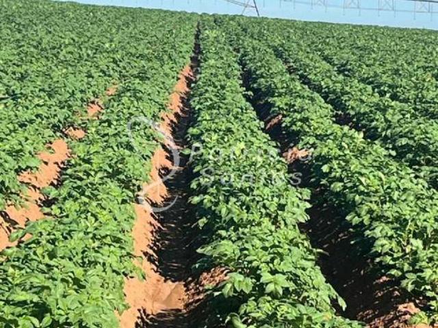 Fazenda à venda em Franca SP: 1.016,40 alqueires na Área Rural, oportunidade única!