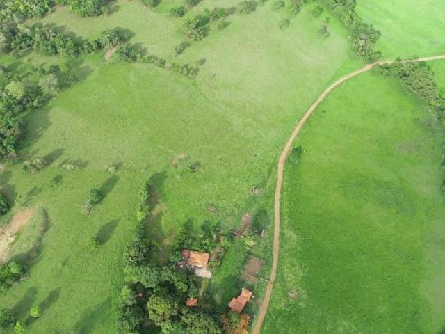 Fazenda a venda em Honorópolis MG