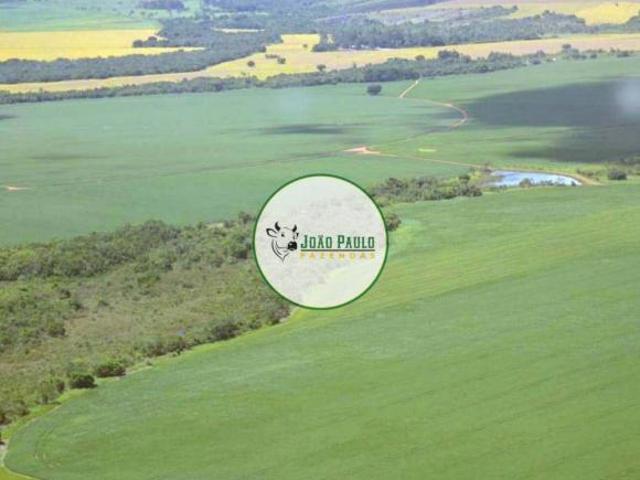 Fazenda a venda em Ipameri GO 1.111 HA 493 ha Total de Pivô Altitude: 950 metros
