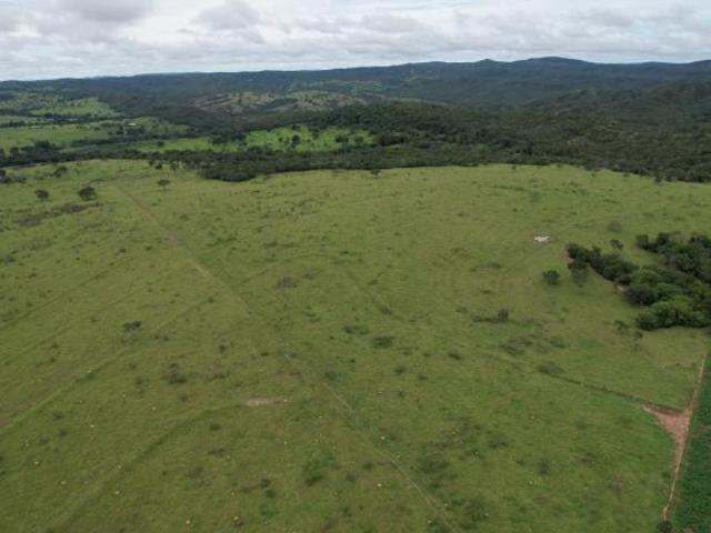 Fazenda à venda em Ipameri GO, Zona Rural: infraestrutura completa e potencial agropecuário!