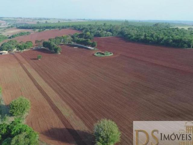 FAZENDA A VENDA EM ITAPETININGA SP, DUPLA APTIDÃO, ÁREA TOTAL DE 69 ALQUEIRES, SENDO 30 ALQUEIRES EM