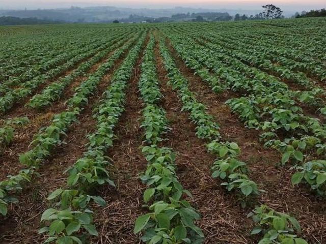Fazenda à venda em Itapetininga SP: 2 quartos, 1 sala, 1 banheiro e 3.484.800,00 m² de área!