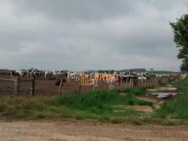 Fazenda à Venda em Itapetininga, SP