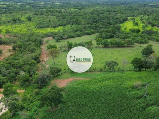 Fazenda a venda em João Pinheiro 217 Hectares 170 hectares formada em braquiária e Mombaça
