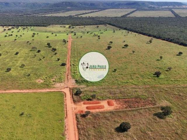 Fazenda a venda em Joao Pinheiro MG 530 Hectares FAZENDA 100% PLANA TODA MECANIZAVEL