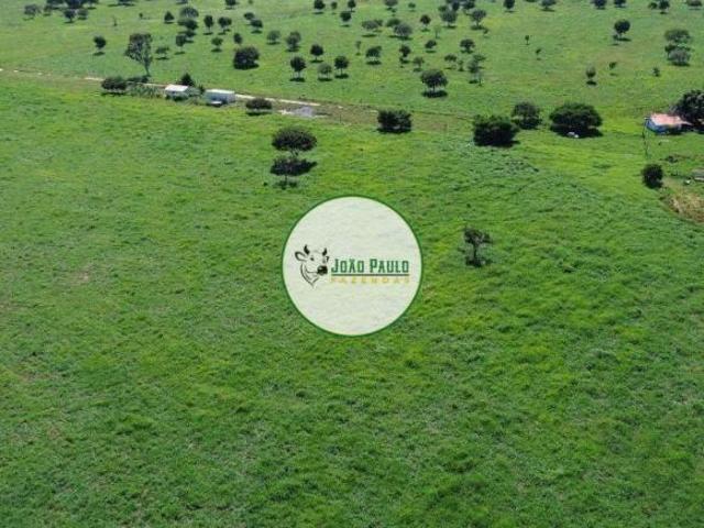 Fazenda a venda em João Pinheiro MG 184 Hectares DUPLA APTIDÃO