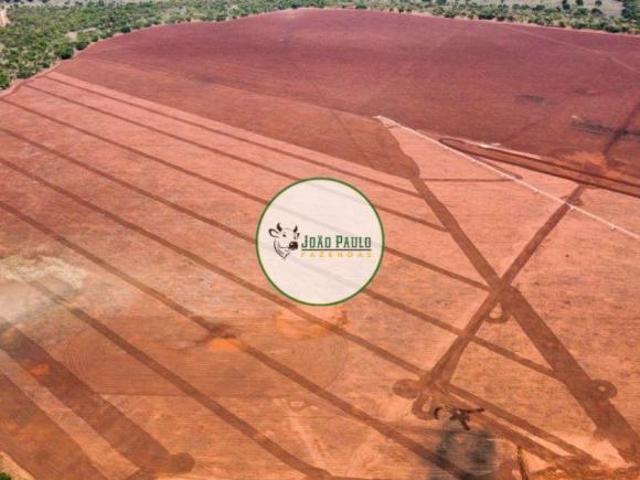 Fazenda a venda em Joao Pinheiro MG 300 Hectares 240 hectares em produção