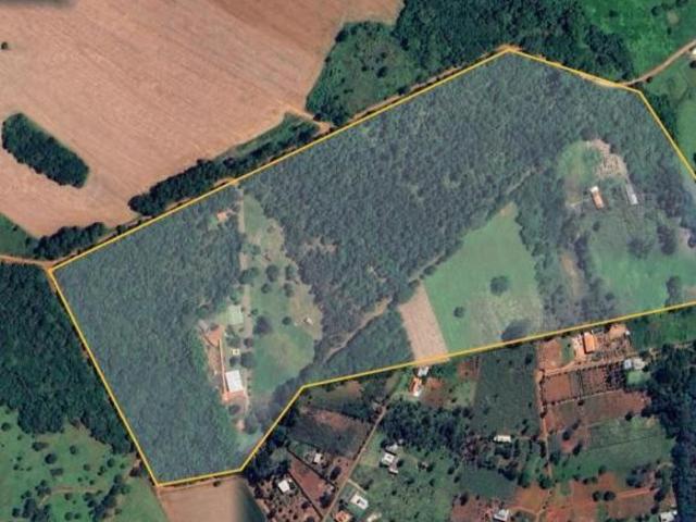 Fazenda à Venda em Joanápolis – Anápolis/GO | 29,4 Hectares | Porteira Fechada
