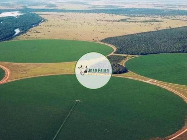 Fazenda a venda em JUSSARA GO 4.490 hectares 1.962 ha em pastagens Pista de pouso
