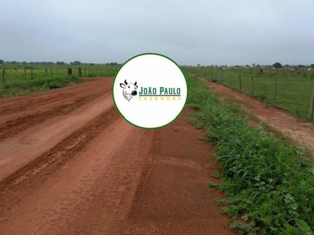 Fazenda a venda em JUSSARA GO 2.282 ha Vale do Araguaia ótima para gado