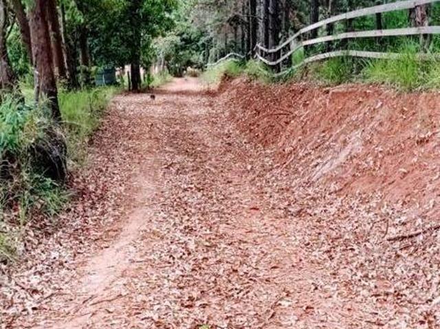 FAZENDA À VENDA EM OLIVEIRA/MG – 25 HECTARES ÀS MARGENS DA RODOVIA