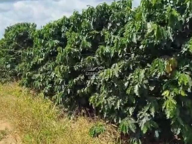 Fazenda à Venda em Oliveira/MG – Região São Francisco de Paula
