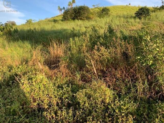 Fazenda à venda em Leópolis, Centro, com 1 quarto, com 78 alqueires