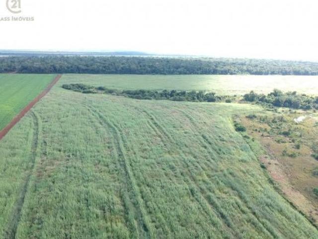Fazenda à venda em Leópolis, Centro, com 1 quarto, com 78 alqueires