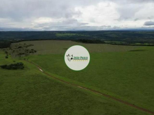 Fazenda a venda em Luziania GO 1.705 Hectares DUPLA APTIDÃO