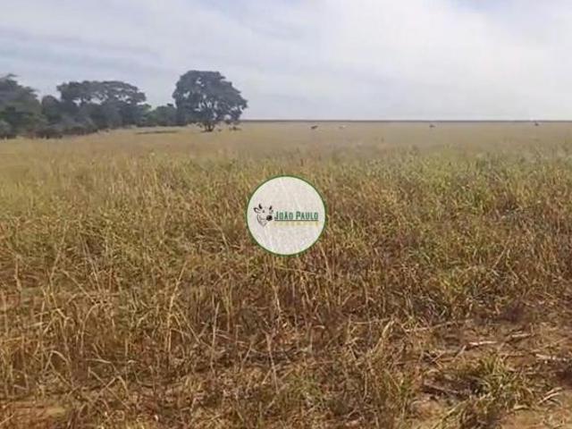 Fazenda a venda em Luziânia GO 50 Hectares Lavoura Pecuária Confinamento Lazer HF