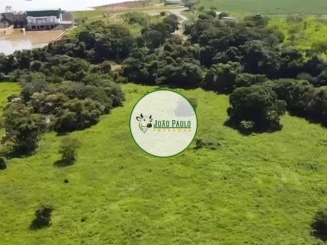 Fazenda a venda em Luziania GO 590 Hectares DUPLA APTIDÃO | LAVOURA E PECUÁRIA