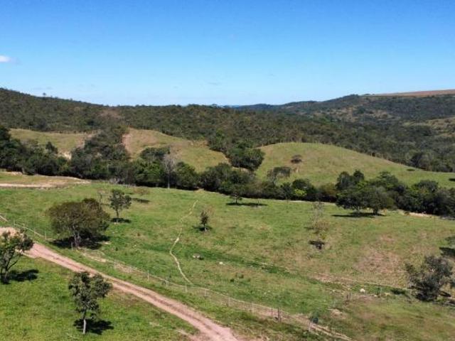 Fazenda à venda em Luziânia GO: 5 quartos, 2 suítes, 3 salas, 3 banheiros, 5 vagas, 677.600m²!