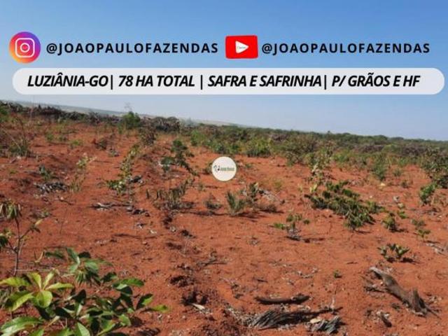 Fazenda a venda em Luziânia Goiás 78,22 hectares Faz safra e Safrinha 50 Km de Brasília