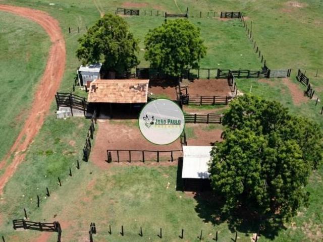 Fazenda a venda em Mozarlândia GO 363 Hectares formada 22 divisões de pasto Próximo a JBS