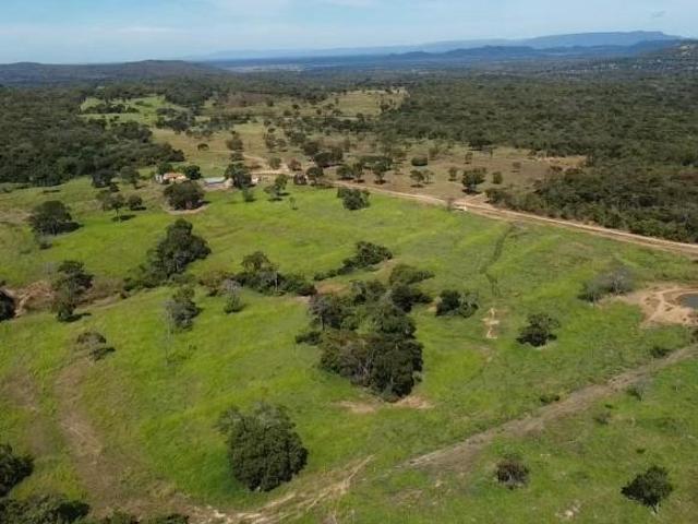 Fazenda à Venda em Monte Alegre de Goias – GO