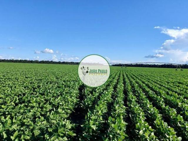 Fazenda a venda em Montes Claros de Goiás GO 1.670 hectares 1.300 ha de plantio