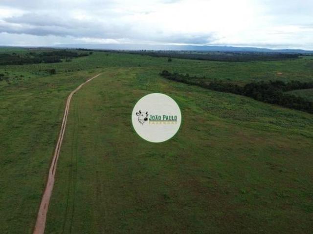 Fazenda a venda em Montes Claros de Goiás GO 295 Hectares 45 alqueires foi lavoura em 22/23