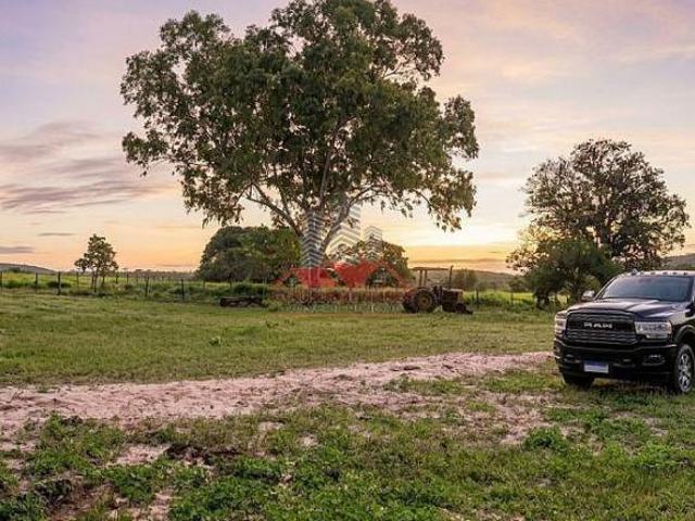 Fazenda à Venda em Montes Claros MG: 1.700 ha com Dívida