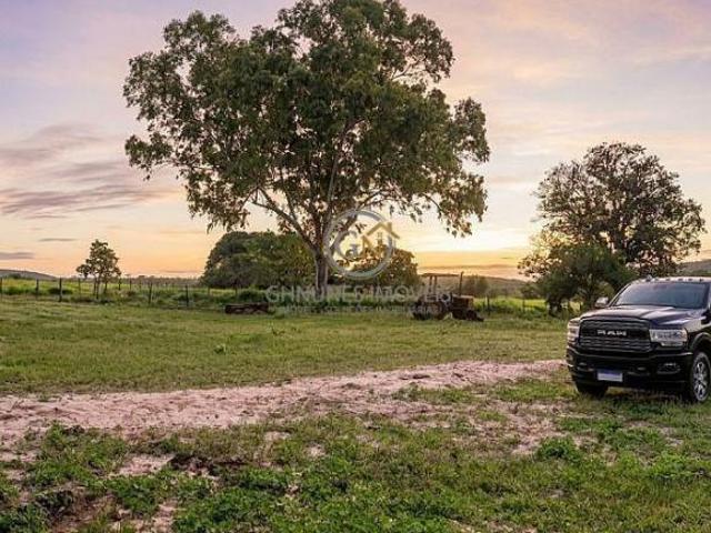 Fazenda à Venda em Montes Claros MG: 1.700 ha com Dívida