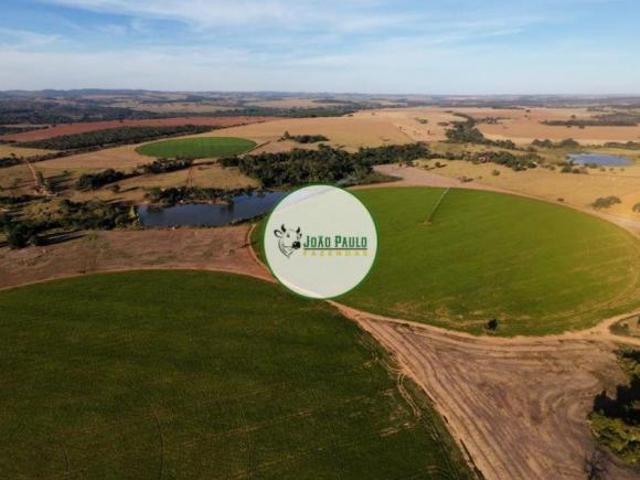 Fazenda a venda em Morrinhos GO 333 Hectares Região Nobre, 100 Km de Goiânia