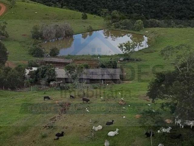FAZENDA À VENDA EM MANOEL RIBAS/PR