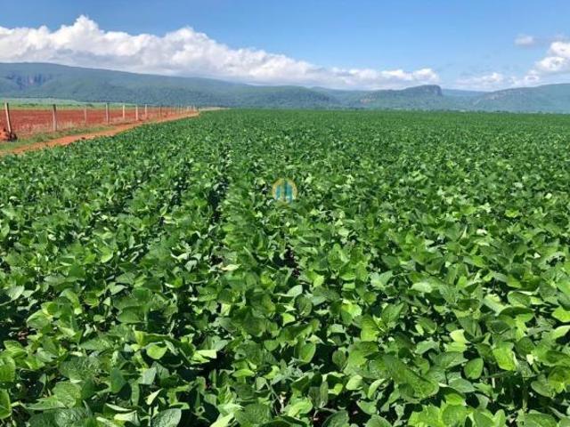 Fazenda à venda em Nova Ubiratã/MT