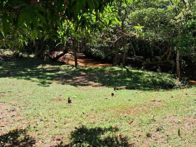 Fazenda à Venda em Nova Xavantina MT