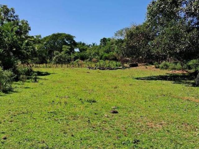 Fazenda à Venda em Nova Xavantina MT