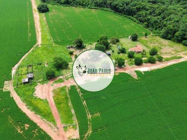 Fazenda a venda em Nova Crixás GO 711 Hectares 90 alqueires em soja plantando em uma única área